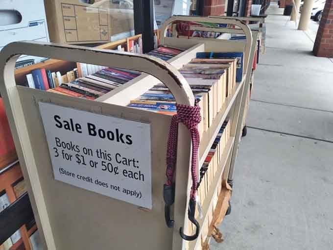 Bargain books on wheels, because even literature deserves a chance to travel and find new homes.