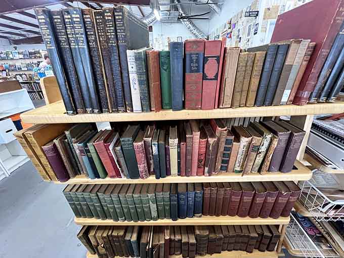 Vintage volumes line these shelves like distinguished guests at a party, their aged spines telling stories before you open them.
