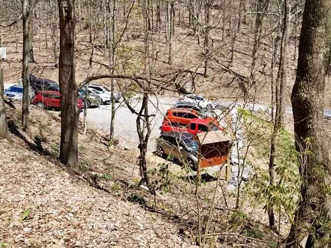 A full parking lot is always a good sign that you've found something special worth visiting.