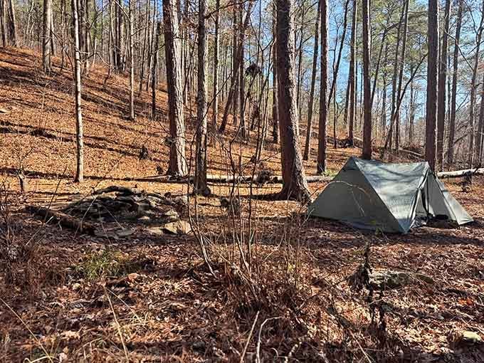 Backcountry camping here means waking to birdsong instead of alarm clocks, the ultimate luxury for weary souls.