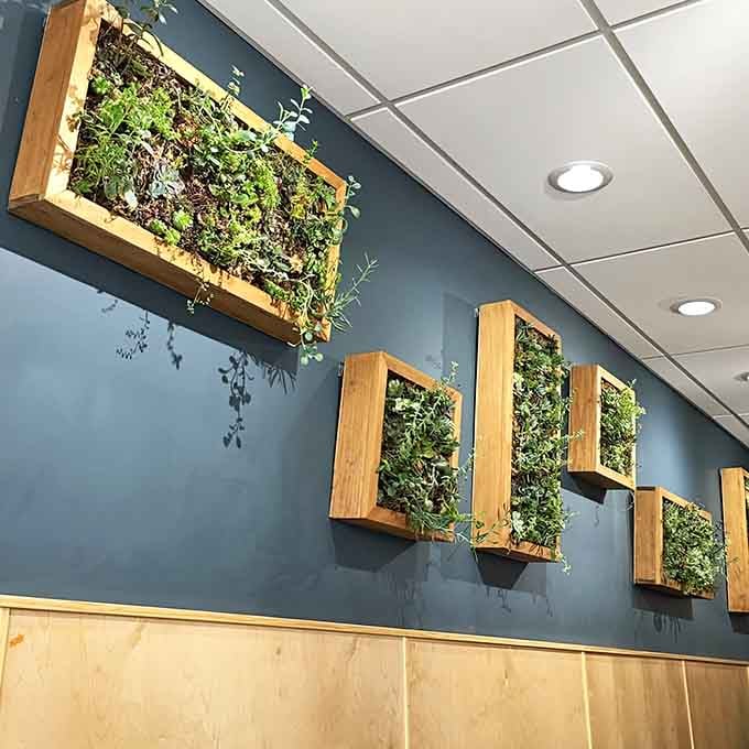 Living wall planters bring fresh greenery indoors, creating a modern, eco-friendly vibe that complements the wholesome food perfectly.