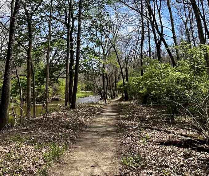 The journey to natural wonder begins with a simple woodland path beckoning you forward through the trees.