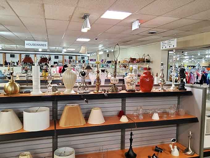 Lamps of every style stand ready to brighten your life without dimming your bank account balance.