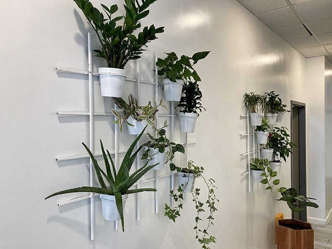 Living plants on the walls bring nature inside, making the whole space feel fresh and alive.