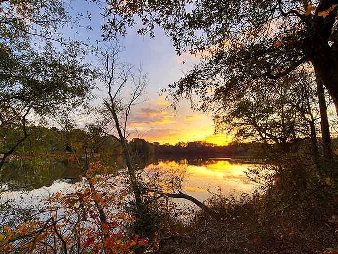 Golden hour transforms ordinary water into liquid fire, proving nature still does special effects best.