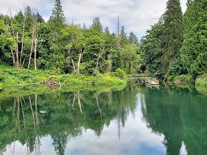 Columbia Springs offers tranquil wetland reflections where nature mirrors itself, creating Instagram-worthy scenes without requiring filters or hashtags.