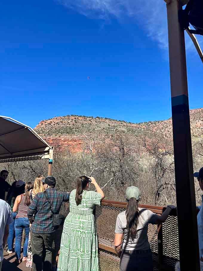 Binoculars optional, wonder mandatory: scanning cliffs for eagles and ancient ruins becomes everyone's favorite pastime.