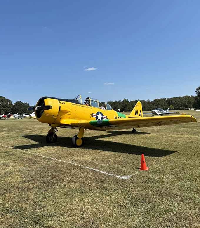 Even on the ground, a T-6 Texan commands attention like a movie star at a small-town diner.