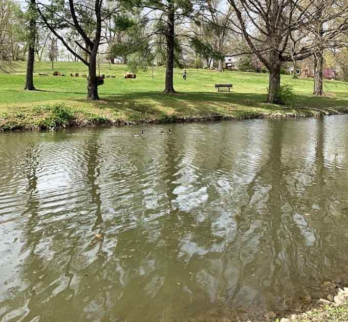 This peaceful pond attracts ducks, geese, and contemplative humans who forgot their phones in the car, blissfully.