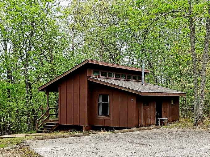 Cozy cabins offer just enough modern comfort without sacrificing that authentic wilderness experience you're craving.