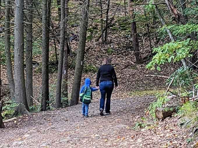 Forest paths invite exploration, promising discoveries around every bend for hikers of all ages and abilities.
