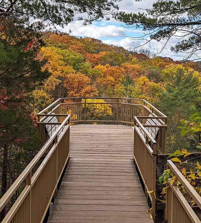 The observation deck frames fall foliage like a postcard your camera roll desperately needs right now.