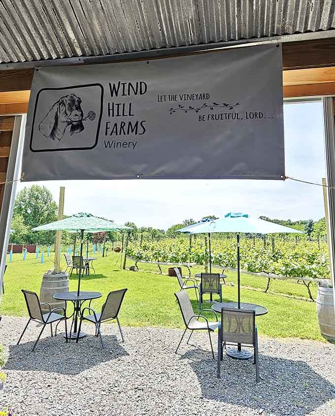That banner promising fruitful vineyards sets the tone for outdoor seating where umbrellas dot the landscape like colorful mushrooms.