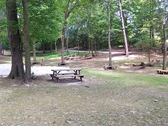 Shaded picnic spots offer the perfect setting for sandwiches that taste better eaten outdoors.