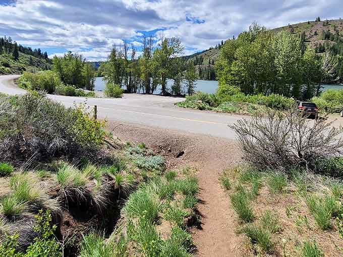 Patterson Mountain Trailhead marks the starting point for views that'll make your legs forgive the elevation gain.
