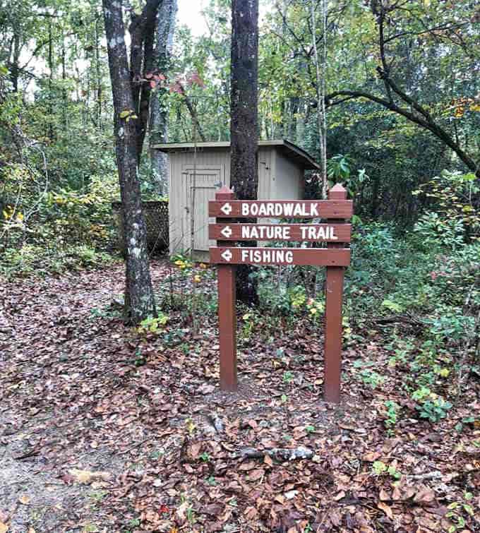 Simple wooden signs point the way to boardwalks, nature trails, and fishing spots where time moves differently somehow.