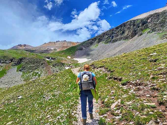 Backpackers trek upward through wildflower corridors, chasing views that justify every labored breath at altitude.