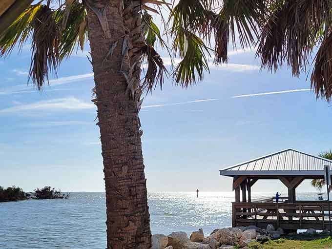 A waterside pavilion provides front-row seats to the daily show where sunlight dances on the waves.