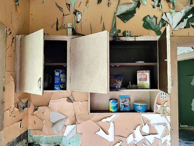 Kitchen cabinets still holding forgotten groceries, a reminder that people left here expecting to return but never did.