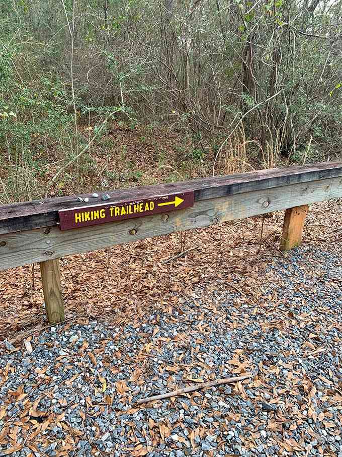 When the trail literally points you toward adventure, you know you're in the right place.