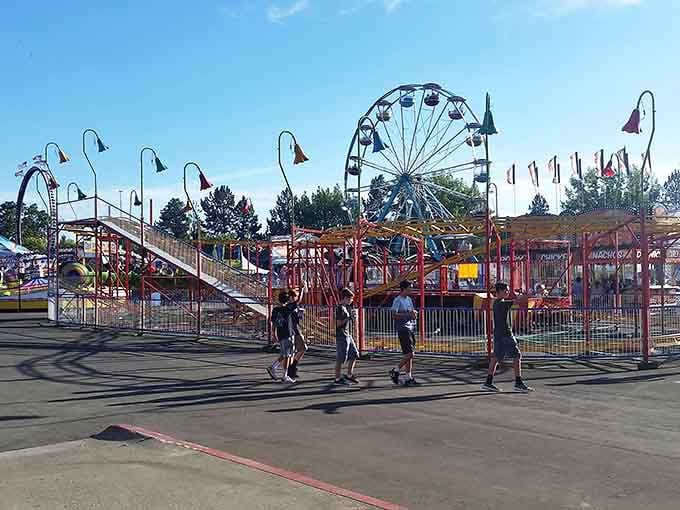 The county fair brings classic carnival rides and that nostalgic atmosphere that reminds you of summers past and funnel cakes.