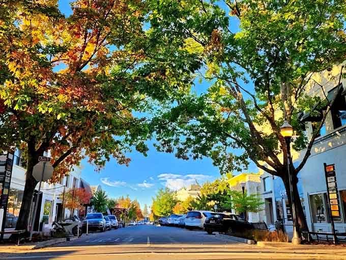 Historic buildings line quiet streets where locals stroll between cafes and the autumn leaves paint everything in golden hues.