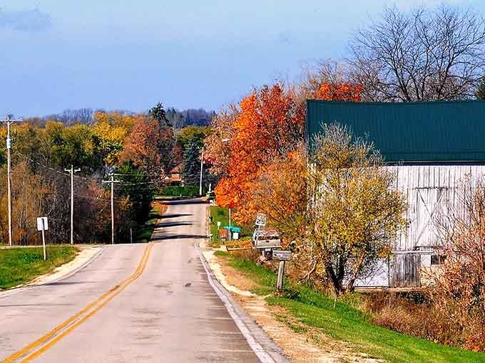 Autumn trees lining this country road create a tunnel of color that makes every drive feel like a scenic adventure.