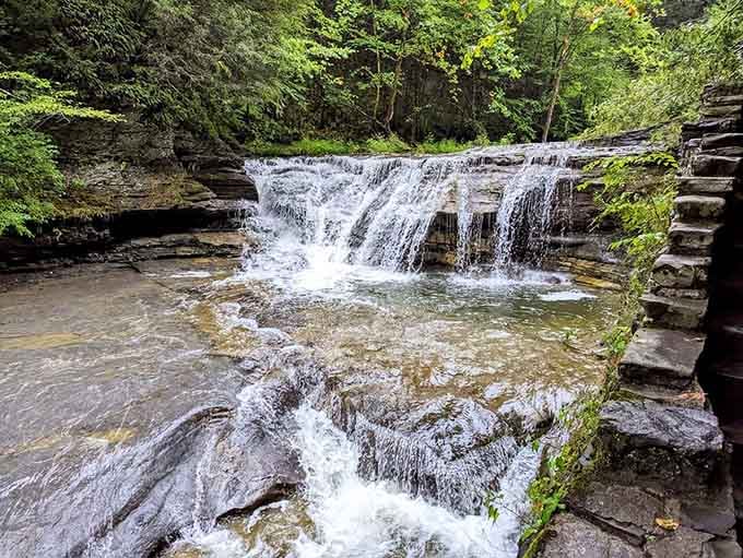 Water tumbles over natural stone steps in this enchanting gorge where ferns cling to rocky walls.