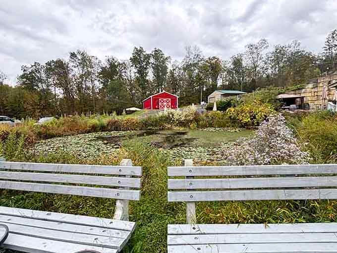 That charming red barn peeks through the landscape like a classic painting come to life.