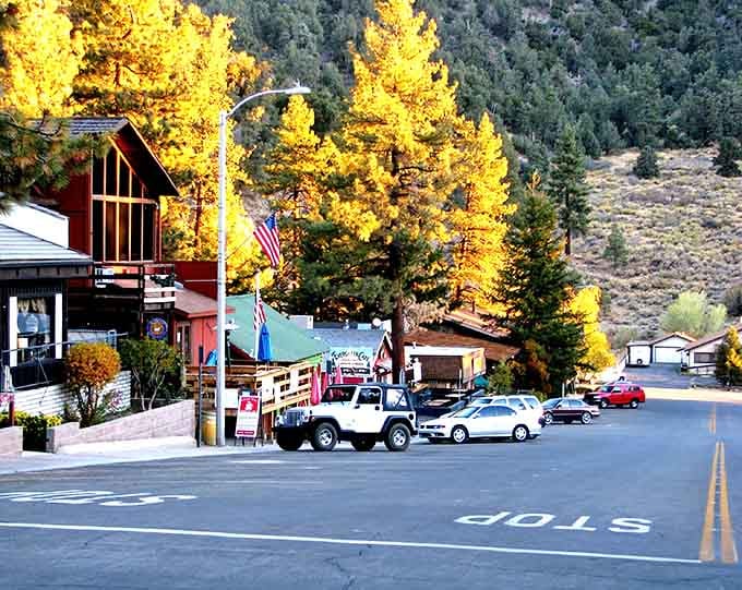 Golden aspens blaze against blue sky in this high-elevation retreat where fall colors rival anything Vermont can offer.