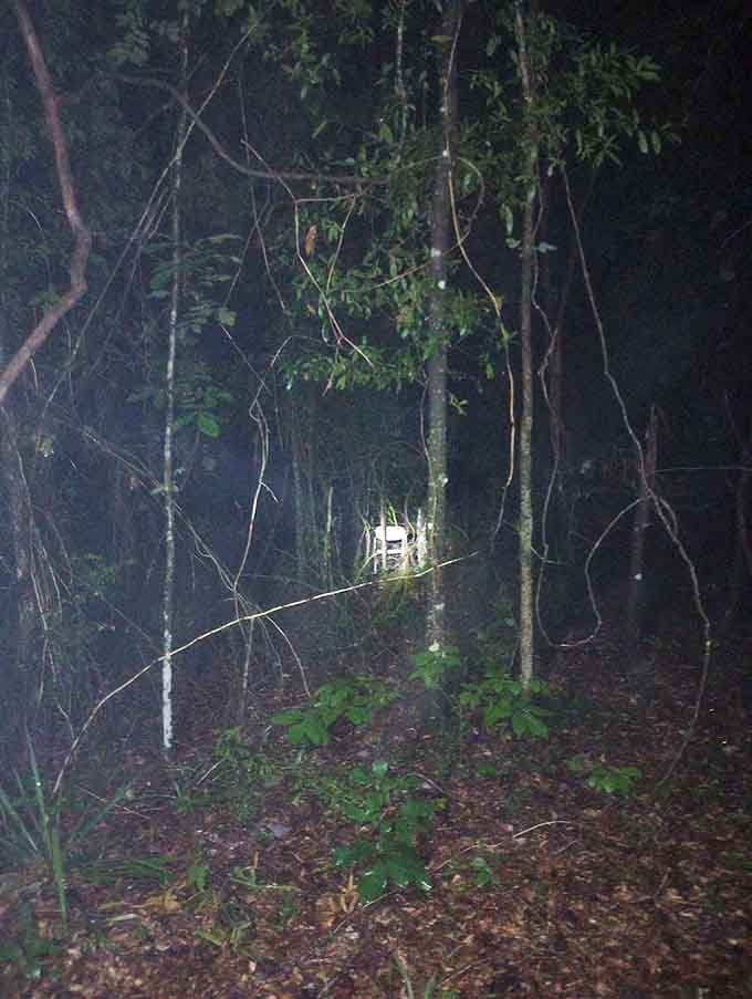 Deep woods swallow the path ahead, where only the determined discover what Alabama's past left behind.