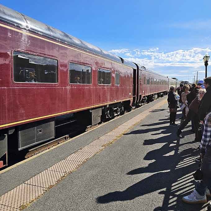 The burgundy coaches gleam in the sunshine, looking every bit as elegant as they did decades ago.