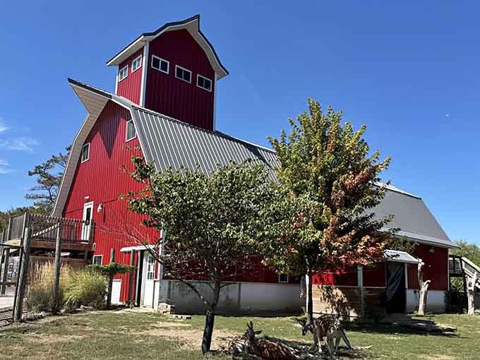 That classic red barn proves you're still in the Midwest, despite the exotic neighbors everywhere.