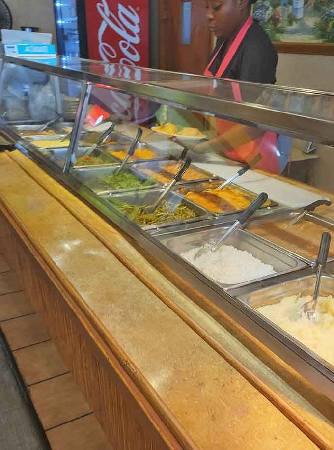 The cafeteria line where dreams come true and difficult decisions about vegetables versus more vegetables get made happily.