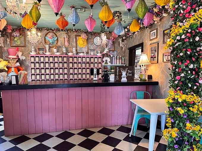Behind the purple counter, a wall of tea selections awaits like a library of liquid possibilities.