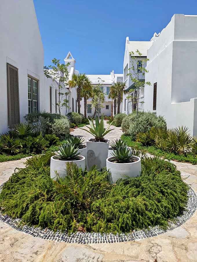 Courtyard gardens where succulents and greenery create little pockets of paradise behind those famous white walls.