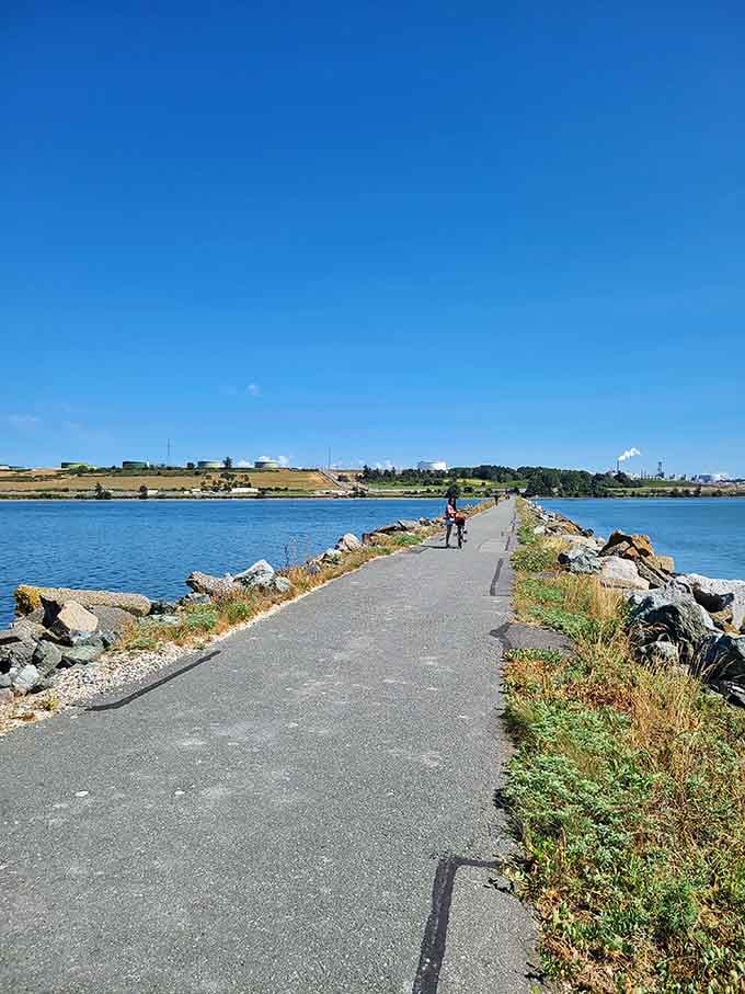The Tommy Thompson Trail offers waterfront walking where Mount Baker photobombs every single picture you'll take.