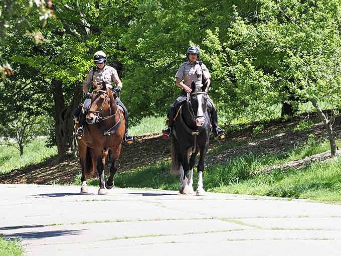 Mounted park patrol adds an unexpected touch of old-world elegance to your modern-day nature walk through Boston.