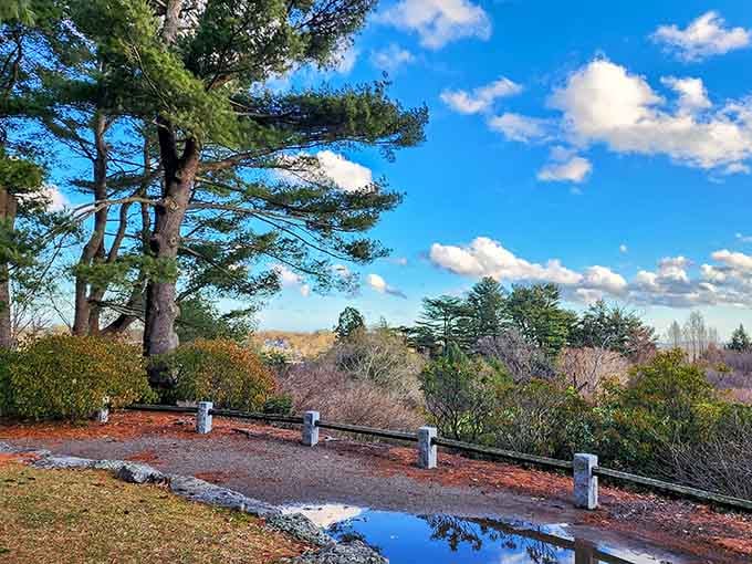 Nature's own masterpiece reflected in a puddle, proving even rainwater has good taste at this place.