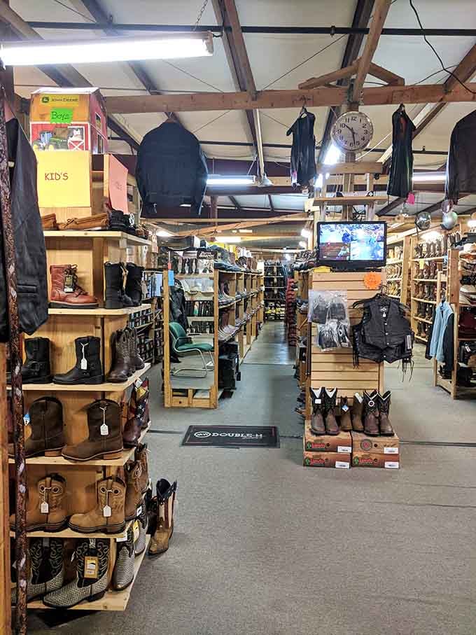 Cowboy boots stand at attention on wooden shelves, ready to make anyone feel like they belong on a ranch.