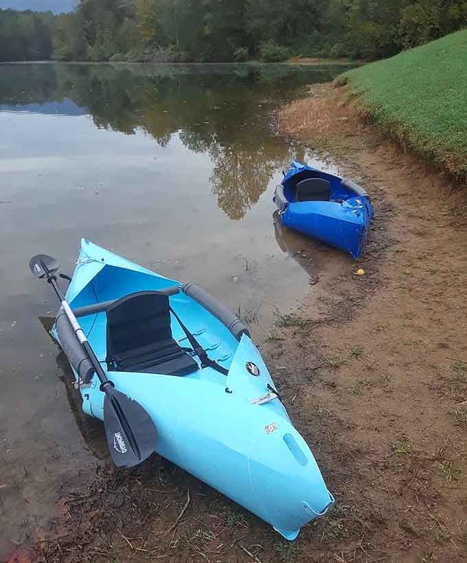 Those cheerful blue kayaks waiting on shore are basically invitations to adventure, no RSVP required.