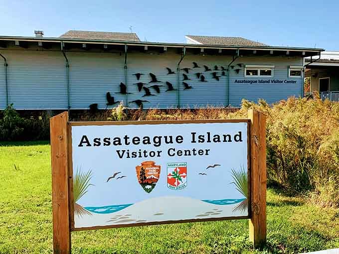 The gateway to wild horses and untamed beaches starts at this unassuming visitor center.