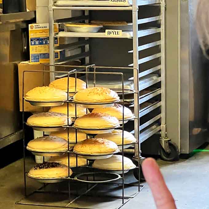 Fresh pies cooling on the rack, each one a golden-crusted masterpiece waiting to make someone's day infinitely better.