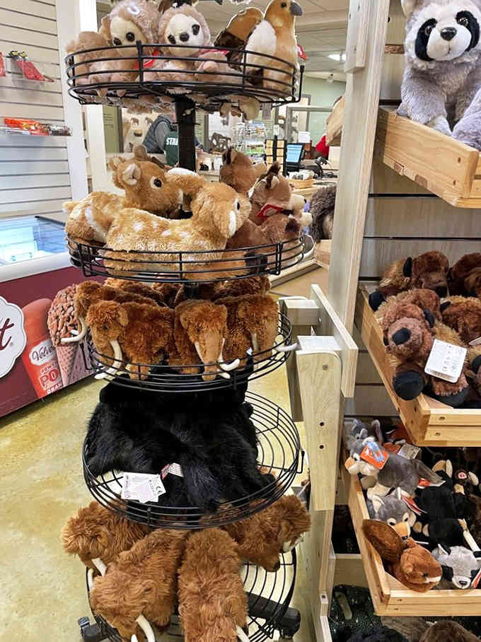 The gift shop's plush menagerie lets you take home a cuddly version of creatures that were decidedly less huggable.