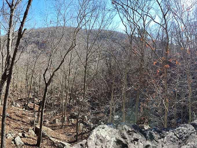 Black Mountain rises through the forest, a reminder that Missouri has actual mountains hiding in plain sight all along.