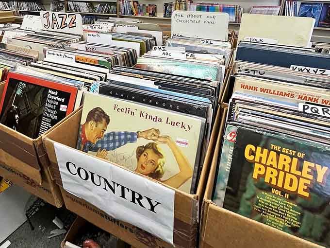 Vinyl records organized by genre await music lovers who understand that albums sound better with actual grooves.