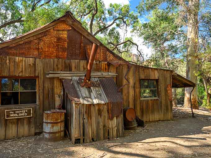 The weathered charm of this historic shed tells stories of Arizona's past without saying a single word.