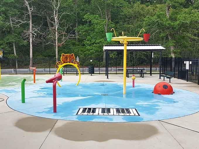 The splash park provides free family fun for when the grandkids visit and you're the hero without spending.