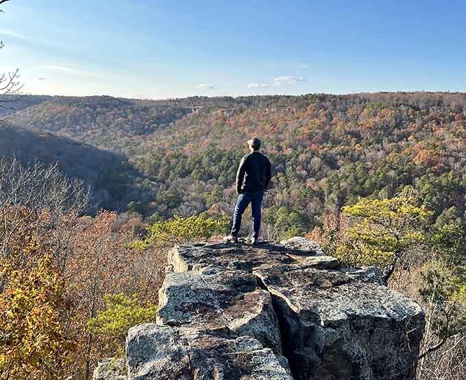 Standing on this overlook makes you feel like you've conquered something, even if you just drove up and walked ten feet.