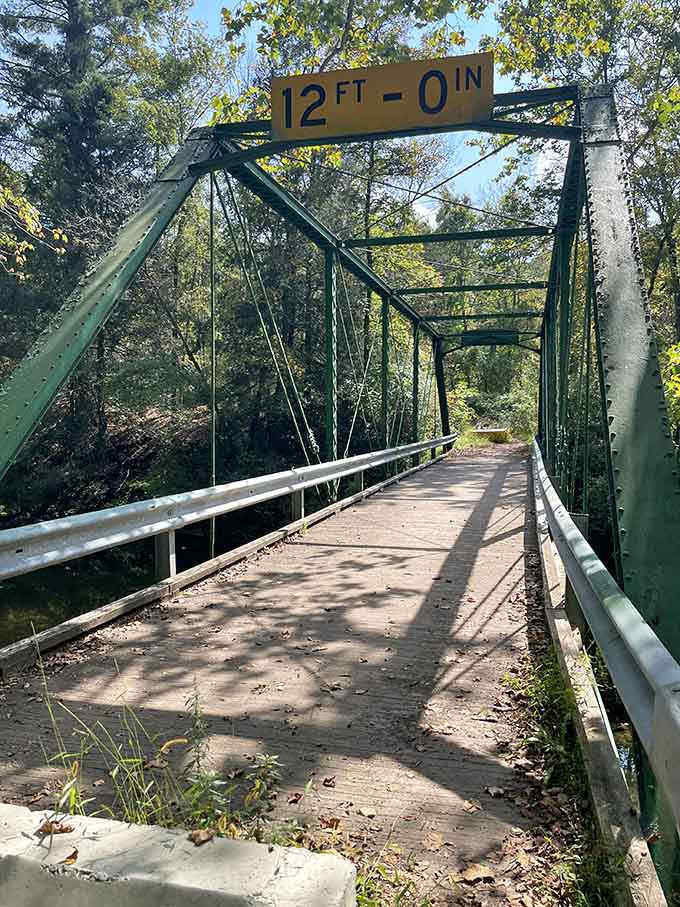 A vintage green bridge spans the water, adding character and charm to this already picturesque forest setting.